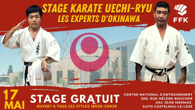 Karate Uechi-Ryu par Lionel Reynaud